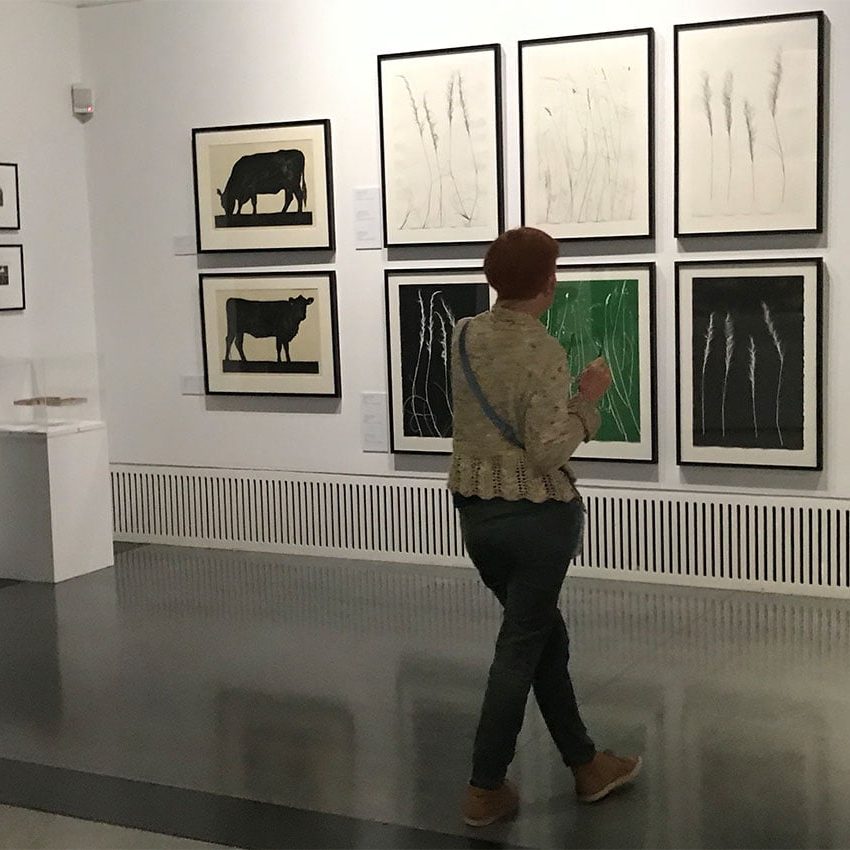 Earth Canvas Exhibition Gallery - Earth Canvas